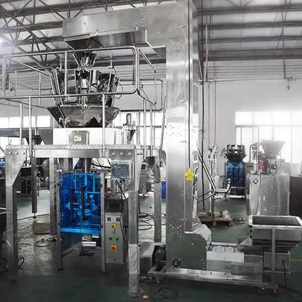 Multi Head Packing Machine